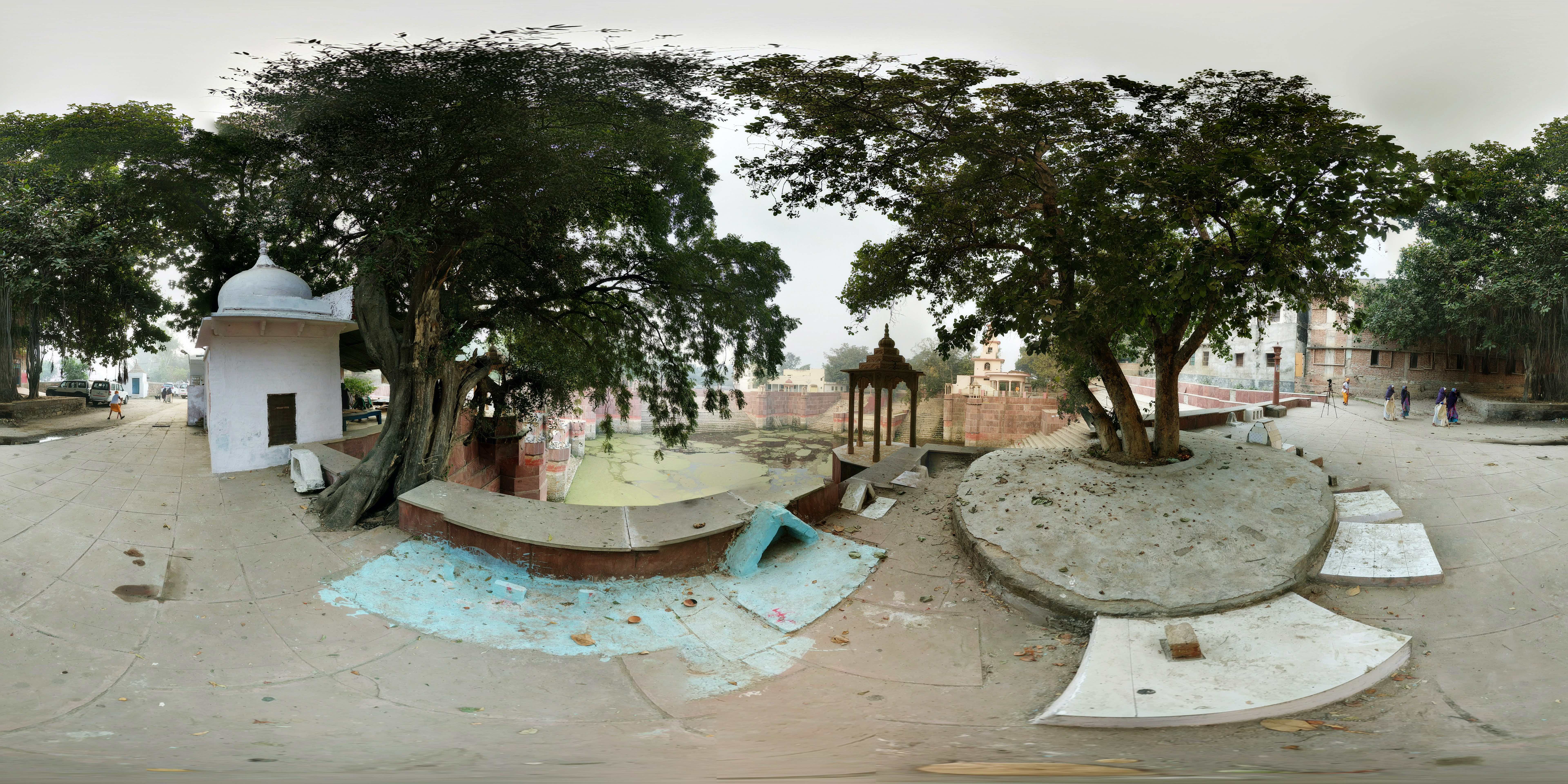 Priya Kunda (Peeli Pokhar), Barsana - Divine Pastimes