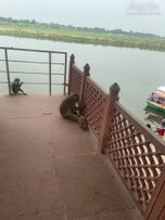Brahmand Ghat - Gokul Mahavan